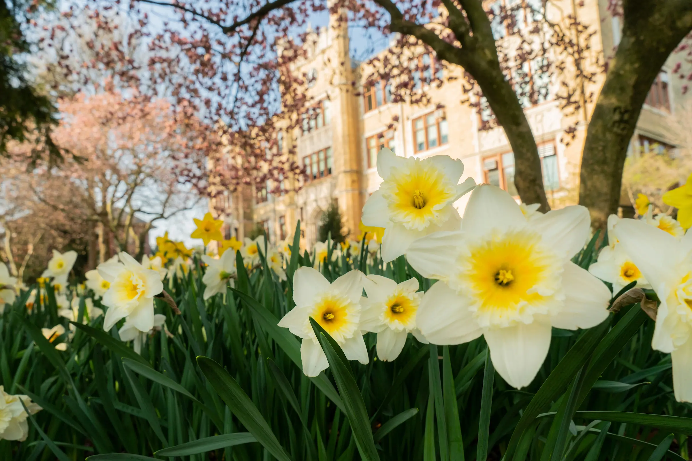 Registrar - Office of the Registrar