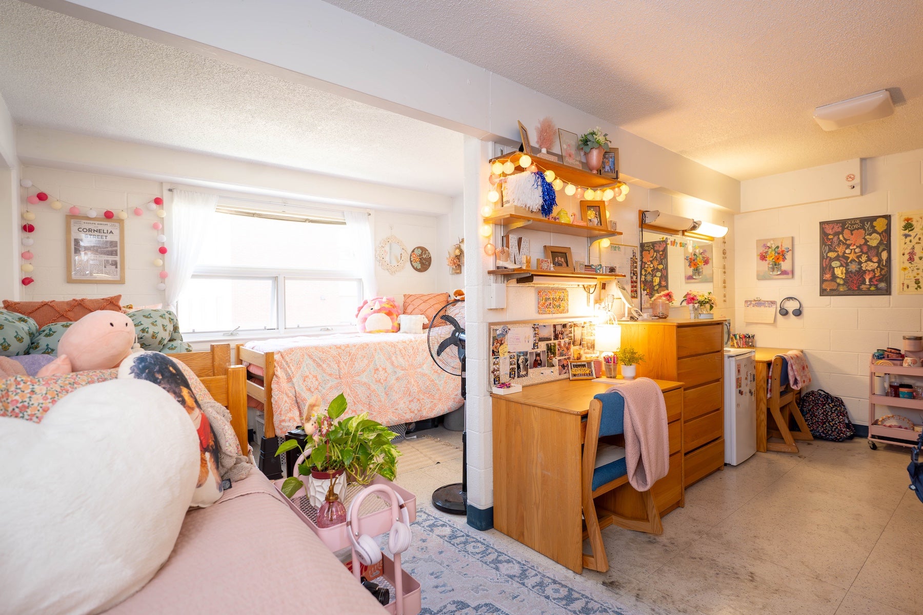 Dorm Room Must-Haves for Your First Year at LVC | Lebanon Valley College